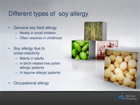 Ppt Soy Allergy Powerpoint Presentation Free Download Id 3104075