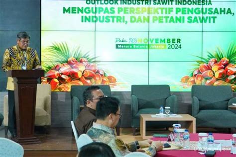 Produk Hilir Sawit Capai 193 Jenis Ekspornya Tembus Rp 450 Triliun