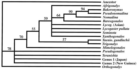 bootstrap consensus tree all genera 100 heuristic replicates number