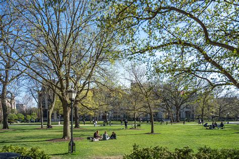 Meet Ahmed Alaa ⭐ For Ahmed Alaa Uc Berkeley Was An Easy Choice As An Assistant Professor In