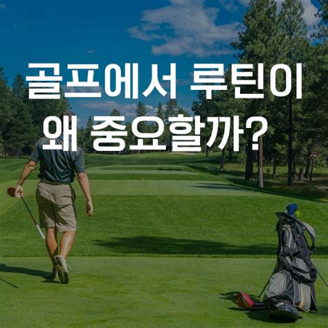 골프에서 루틴이 중요한 이유 김캐디 골프 정보