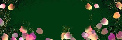 아름답게 춤추는 피에르 드 론사드 장미 꽃잎의 수채화 손으로 그린 넓은 크기 삽화 배경 주제에 대한 스톡 벡터 아트 및 기타 이미지 배경 주제 개화기 검정색 배경