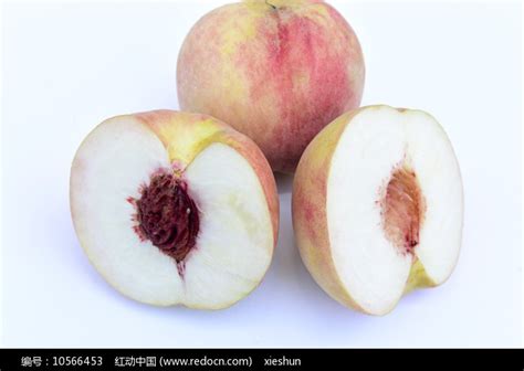 百花桃素材高清图片下载红动中国