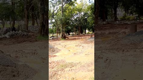 Muliro Gardens Kakamega Fasci Garden