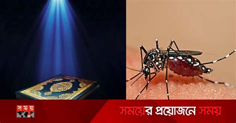 মহানবীর প্রিয় খাবারে লুকিয়ে আছে ডেঙ্গু জয়ের উপায়