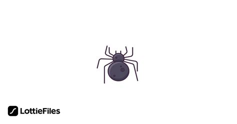 Free Spider Animation By Muhammad Bilal Lottiefiles
