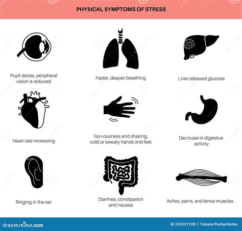 Stress Responce System Vector Illustration 235977388