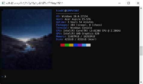 Image Randomly Garbled · Issue 8 · Lptstrwinfetch · Github