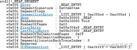 堆（heap）系列 0x04：堆的内部结构（ heap heap segment heap entry） heap segment csdn博客