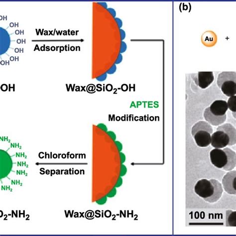 Preparation Of Various Asymmetric Silica Based Nanoparticles A