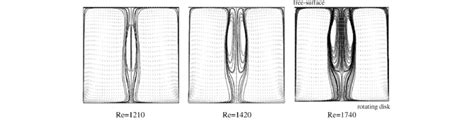 Velocity Vector Field And Predicted Streaklines Of Particles In Bold In