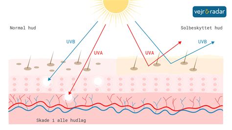 Endelig forår Tid til et UV Lynkursus Kender du de forskellige UV
