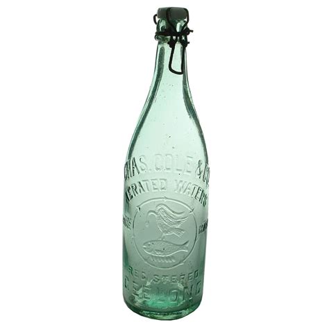 Lightning Stopper Chas Cole And Co Geelong Aqua 26 Oz Victoria