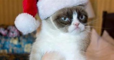 Its Beginning To Feel A Lot Like Imgur