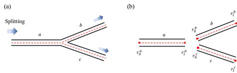 A Schematic Of A Bifurcation With Splitting Flow B Decomposition