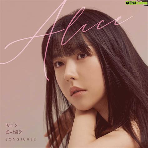 Song Ju Hee Wiki Biography Age Photos Spouse And More