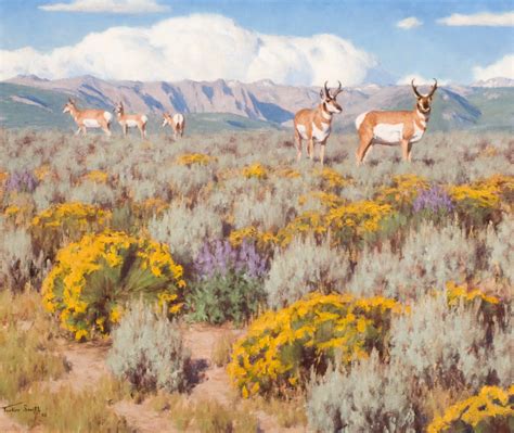 Tucker Smith A Celebration Of Nature National Museum Of Wildlife Art