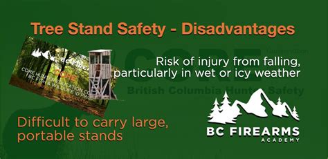 Tree Stand Safety Disadvantages BC Firearms Academy