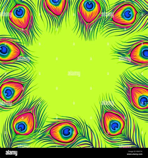 Background With Peacock Feathers Stock Vector Image And Art Alamy