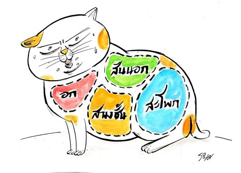 กาตูนร์ ระทม ความหวังช่วงหมูแพง