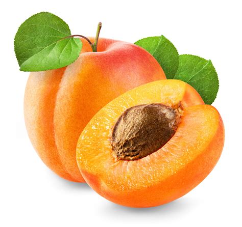Abricot Tout savoir sur un fruit Marché Frais