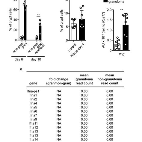 Sca 1 Is Expressed In Granuloma Crypt Epithelium And Ifn γ Is Present
