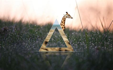 Hipster Computer Backgrounds Wallpapersafari