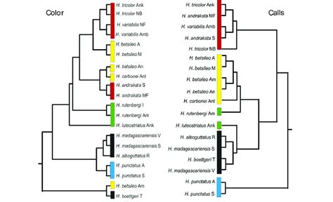 Bayesian Inference Phylogenies Of Heterixalus Species According To The