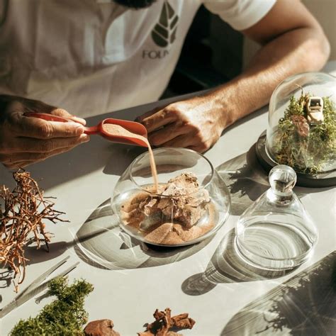 The Best Substrate For Tarantula Enclosures What Works Best Insect Hive