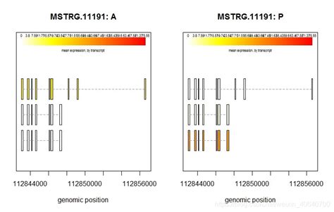 Rna Seq数据上游分析流程（从原始数据开始）rnaseq分析流程 Csdn博客