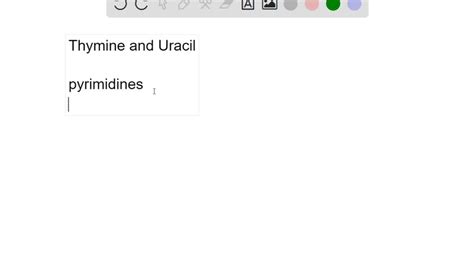 Solved What Is The Difference In Structure Between Thymine And Uracil