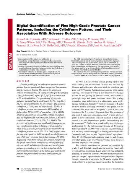Pdf Digital Quantification Of Five High Grade Prostate Cancer