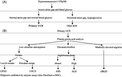 Urea Cycle Disorder