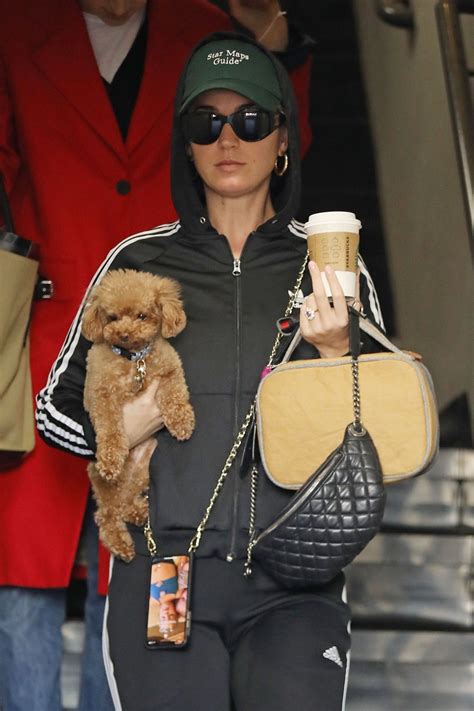 Katy Perry Out With Her Dog In Beverly Hills 03032019 Hawtcelebs
