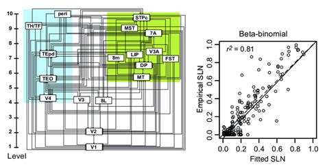 Hierarchical Organization Of Visual Areas Left Estimated From The