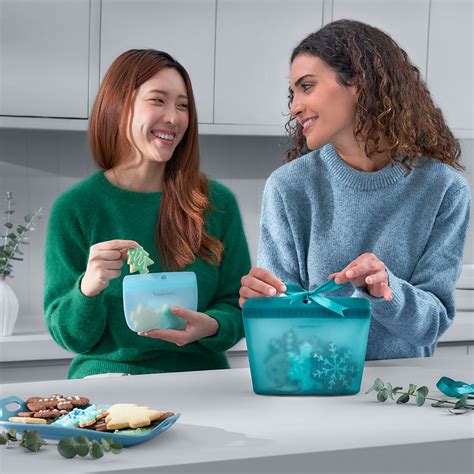 Ultimate Silicone Slim Bag Mini Tupperware Brand