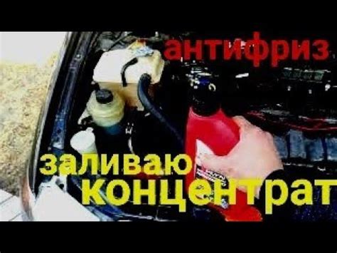 КОНЦЕНТРАТ АНТИФРИЗА как разводить g11 g12 g13 красный зелёный синий ...