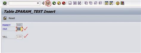 Conversion Routines Sapcodes