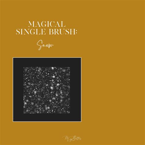 Magical Single Brush Snow Meg Bitton Productions
