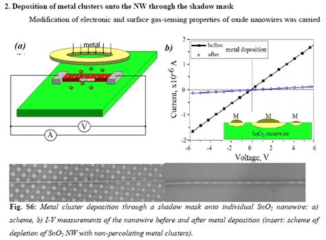 Single Nanobelt Electronic Nose Engineering And Tests Of The Simplest Analytical Element