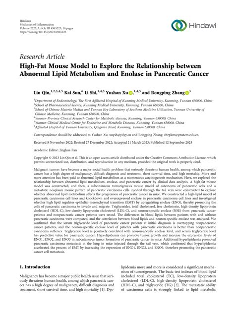 PDF High Fat Mouse Model To Explore The Relationship Between Abnormal