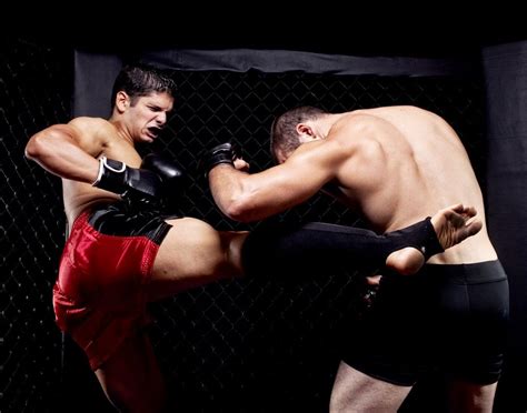 Mixed Martial Arts History Types Objective And Equipment Sportsmatik