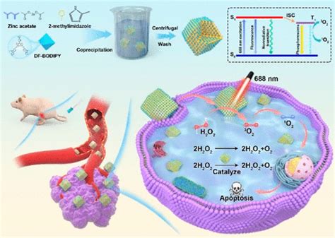 Rational Modulation Of BODIPY Photosensitizers To Design MetalOrganic Framework Based NIR