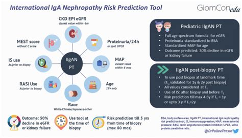 International Iga Nephropathy Prediction Tool A Step Toward Personalized Medicine Glomcon Pubs