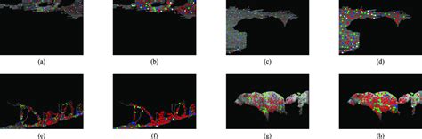 Each Set Of Images Contain Sampling Of Segmented Region With Window