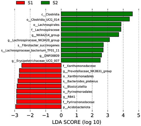 Fermented Wheat Bran Polysaccharides Intervention Alters Rumen