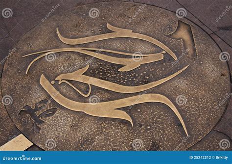 Het Teken Van De Dierenriem Vissen Stock Foto Image Of Zodiaan