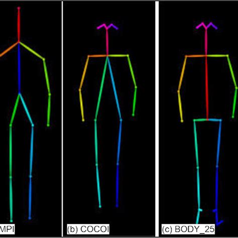 Openpose Models A Mpi B Coco C Body 25 Download Scientific