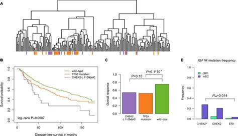 Transcriptomics Survival Tamoxifen Therapy Response And Endocrine Download Scientific Diagram