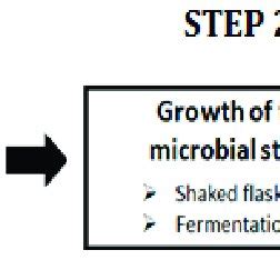 General Process Of The Preparation Of The Microbial Based Flocculants Download Scientific Diagram